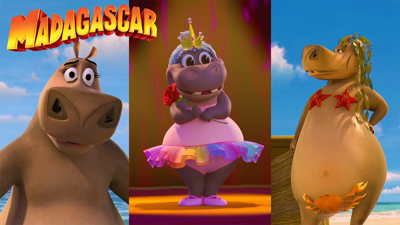 O melhor da Glória 🦛 | Dreamworks Madagascar - Desenhos e CIA